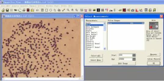专业图像分析软件 Image pro plus 6.0 /ipp 6.0 送实用教程价格,详情介绍-960化工网 – 960化工网