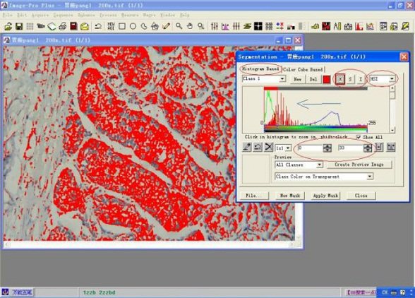 专业图像分析软件 Image pro plus 6.0 /ipp 6.0 送实用教程价格,详情介绍-960化工网 – 960化工网
